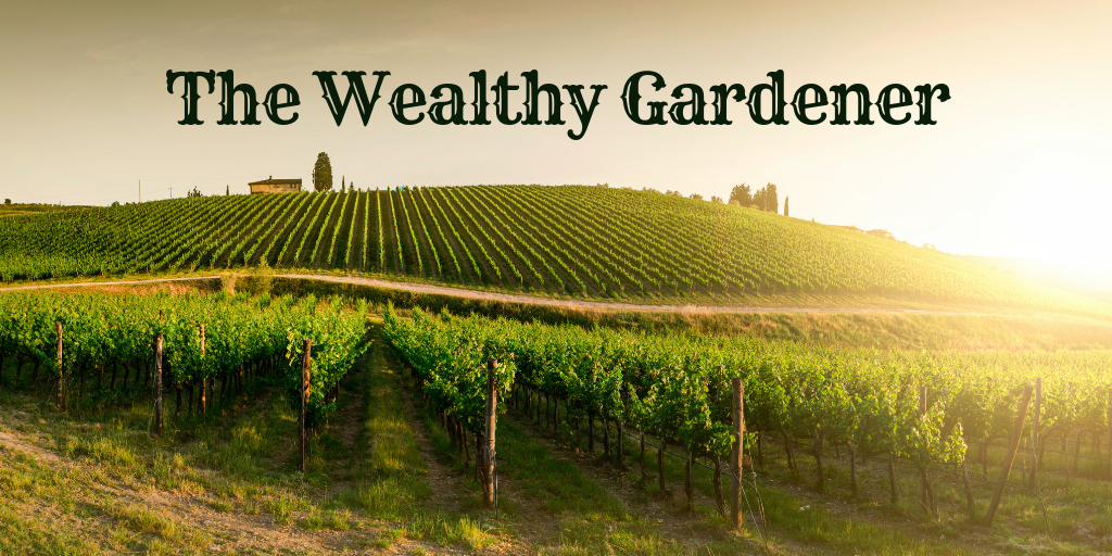 Parables on Wealth